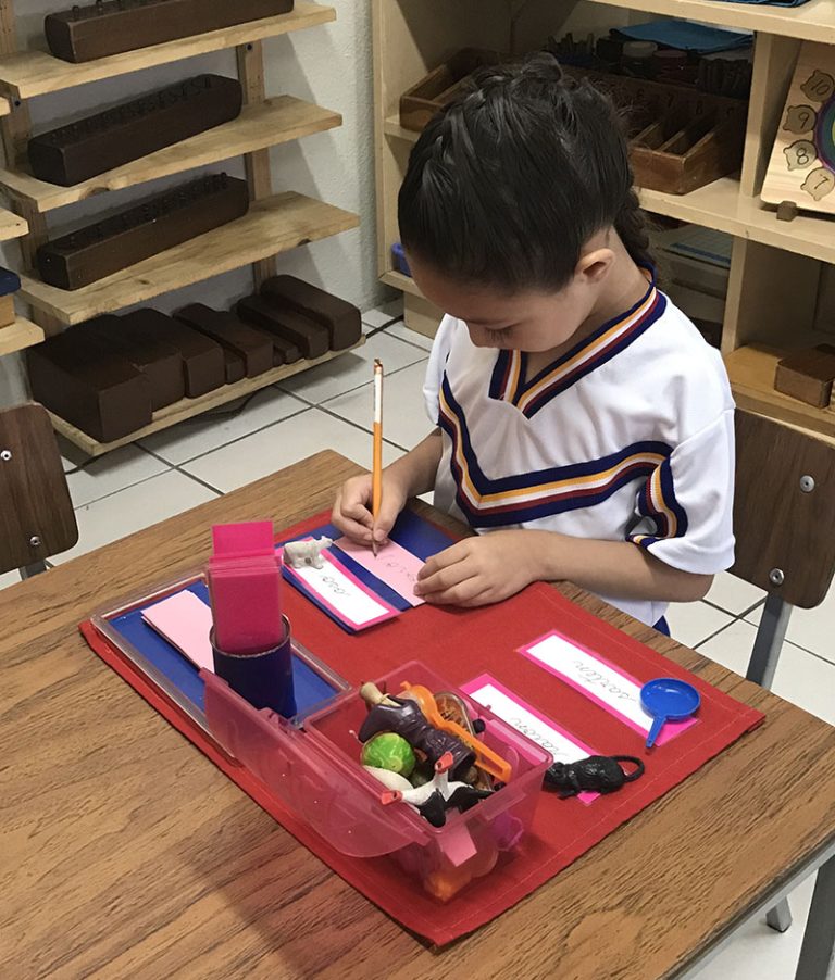Lenguaje Primaria Instituto Montessori Anahuac 3330